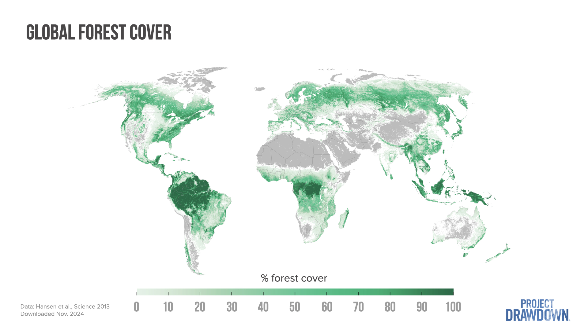 How stopping deforestation is a powerful “emergency brake” climate solution | Project Drawdown®